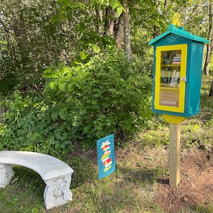 Extra Tall Townhouse Library / Free Shipping / Little Pantry / Little ...