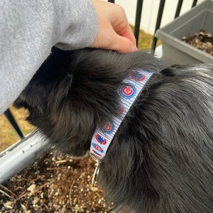 Wizarding Dog Collar Wizard House Dog Collar Magic Dog - Etsy