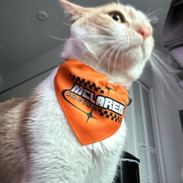 Formula 1 Charles Leclerc Dog Bandana Ferrari F1 Racing Dogcollar ...