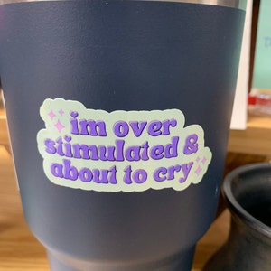 I'm Overstimulated and About to Cry Sticker, Mental Health, Hydro Flask ...