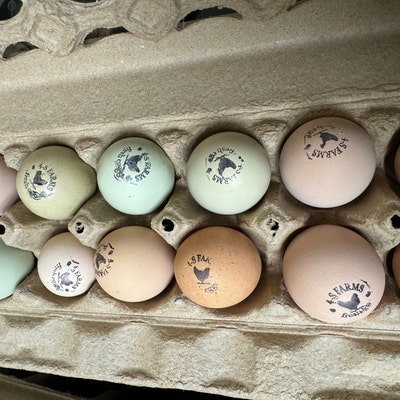 Egg Stamps Personalized Custom Egg Stamp, Chicken Coop Idea, Chicken ...