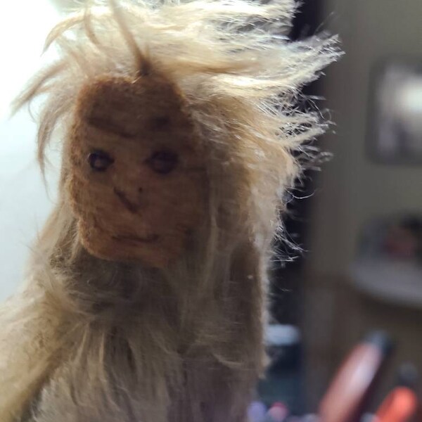 Buckeye Nuts 3/4 Lb 40 Large Size, Real Dried Buckeyes Harvested in ...