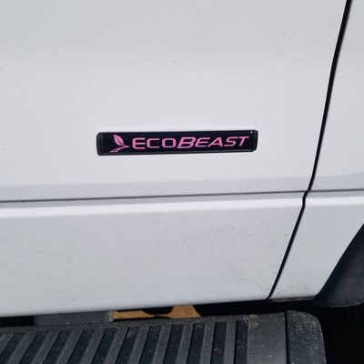 Gel Coated domed FORD ECOBEAST Emblem Overlay: Fits Ford 2010-14 - Etsy