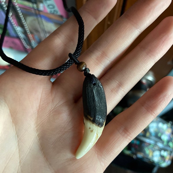 Large Wolf Tooth Necklace Wolf Teeth Necklace Wolf Necklace Wolf Tooth ...