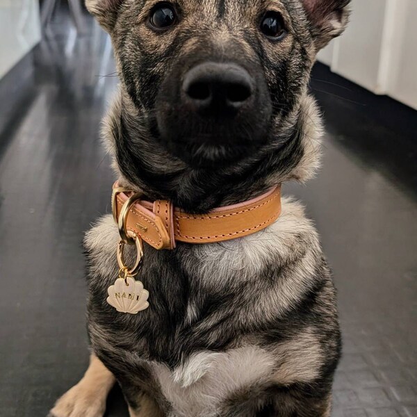 Checkered Pet Tag, Black and White Dog Tag, Custom Pet Tag, Clay Tag ...