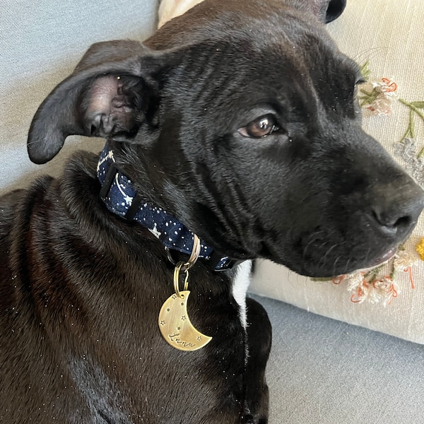 Dog Collar, Big Dipper, Stars, Constellations, Key Fob, Keychain, Glow ...