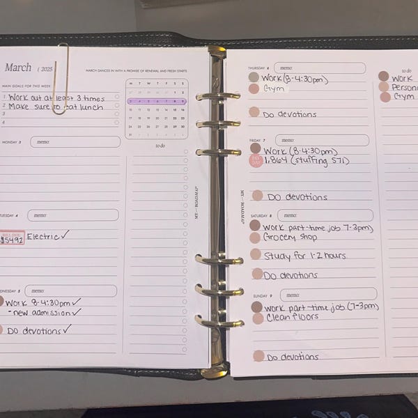 Habit Tracker Half Pages Inserts (1 Edition) | Ring Binder Inserts | Inserts for A5 Ring ...