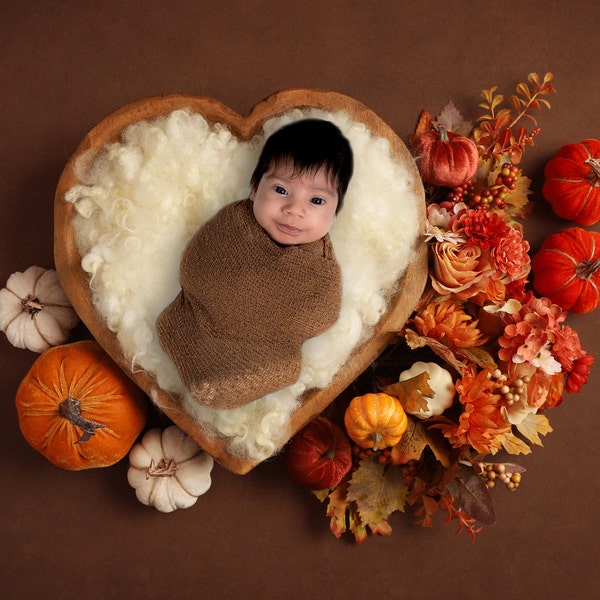FALL NEWBORN Digital Backdrop, Newborn Composite, Newborn Photography ...