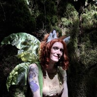 Crysta Fairy Wings, Fern Gully, Small and Sweet - Etsy Canada