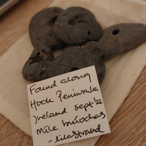 5-8 Irish Hag Stones (small) Multipack, Holey Stones, Adder Stones, Hag ...
