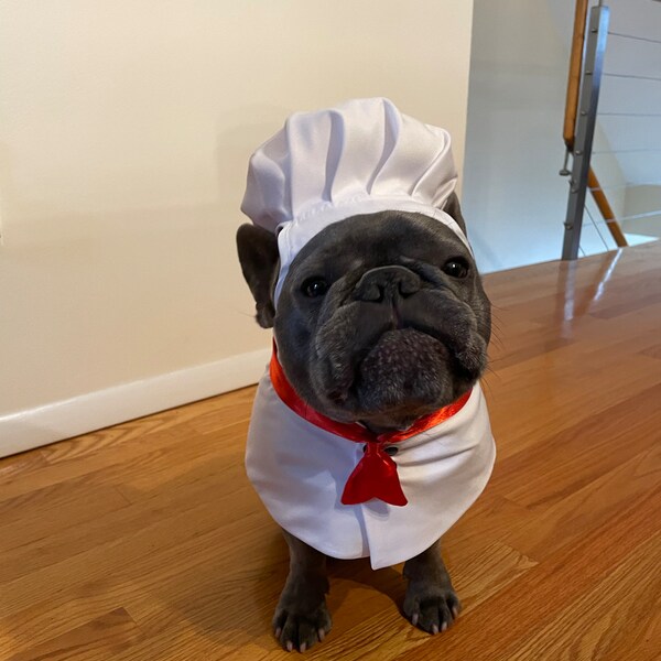 Halloween Chef Dog Cat Pet Costume, Kitchen Helper Assistant Costume ...