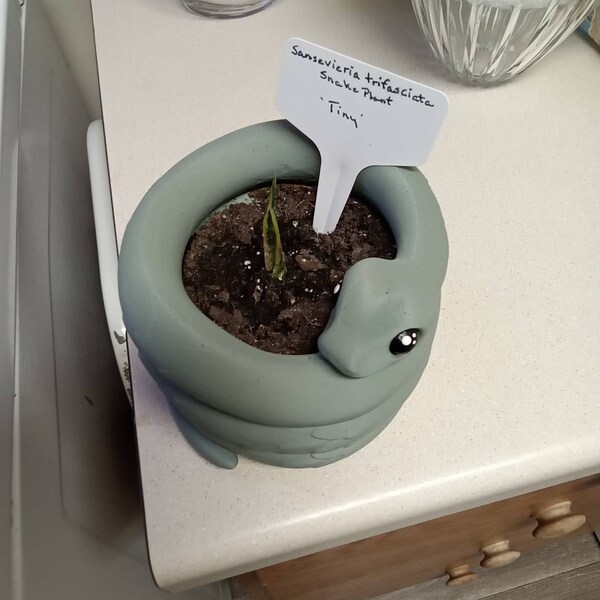Snake Planter - Snake Plant Pot With Drainage - Cute Snake Planter ...