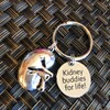 Kidney Donor Organ Donation Awareness Custom Personalized Key Chain ...