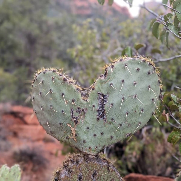 Books and Beer Sipping Magnetic Bookmark - Etsy