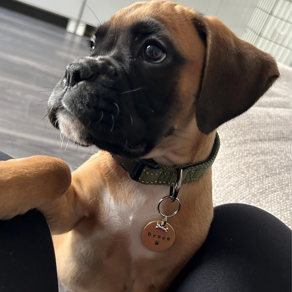 Personalised Dog Tag help Me Find My Humans Handmade Stainless Collar ...