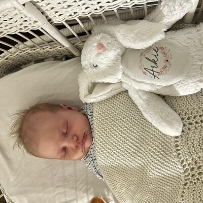 Personalised Bunny Rabbit, New Baby Gift, Customised Plush Soft Toy ...