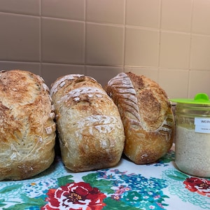 CHECKLIST SOURDOUGH BREADMAKING Editable - Etsy