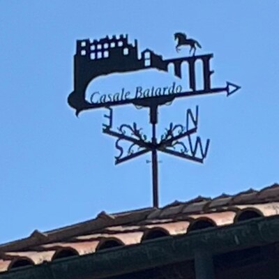 Crow Metal Weathervane Weather Vane Home Roof Decor Raven - Etsy