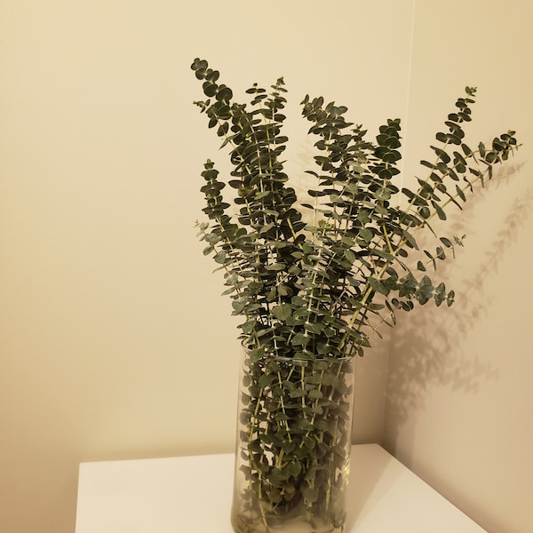 Fresh Eucalyptus Centerpiece Bundle: Eucalyptus Table Decor for Wedding ...