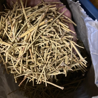 Atibala Root Indian Mallow Abutilon Indicum Root Kangi Root Atibala ...