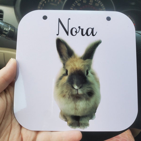 Guinea Pig Name Tag, Guinea Pig Accessories, Pet Tag, Guinea Pig ...