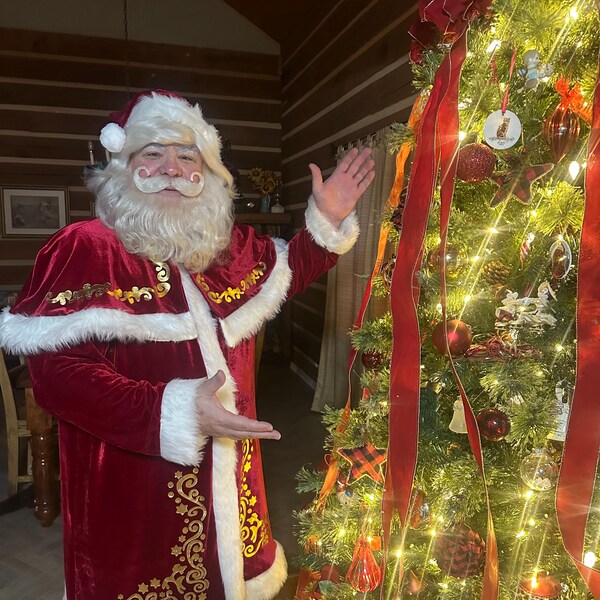 Deluxe XXXL Green Christmas Grouch Complete Mascot Costume Christmas ...