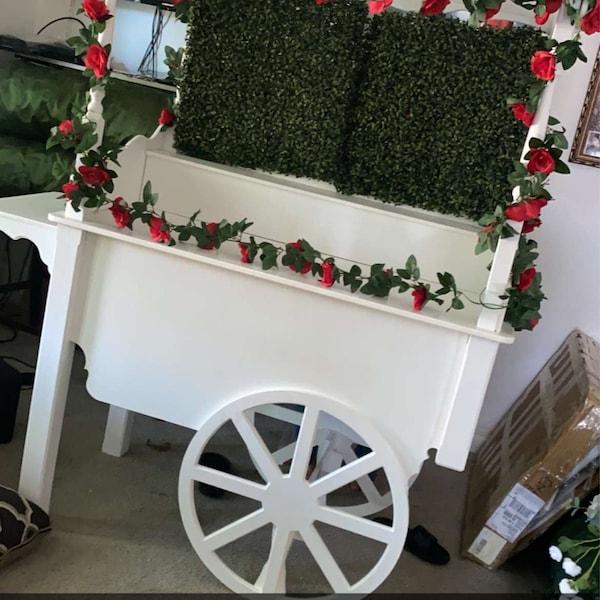 Ice Cream Cart Slush Cart Vendor Cart Display Unit Point of Sale Mobile ...