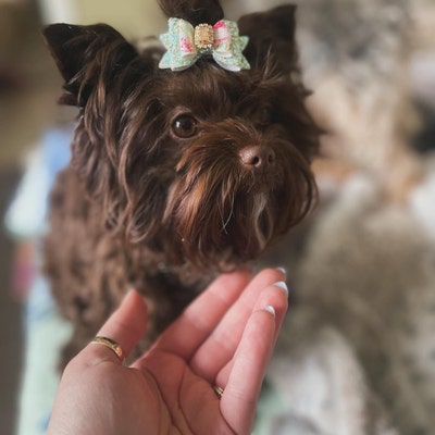 Cute Dog Bows With Pink & Green Floral. Rhinestone Center Option. Small ...