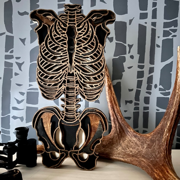 Skeleton Multilayer SVG. Laser Cut File. Layer Construction. Plywood ...