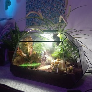 Waterproof 18 Inches Geometric Terrarium Galaxius Stunning Parametric ...