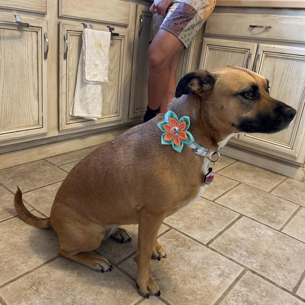 Keychain, Key Fob, Llama Keychain, Llama Key Fob, Animal Key Fob ...