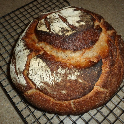 180 Year Old Alaskan Sourdough Starter - Etsy