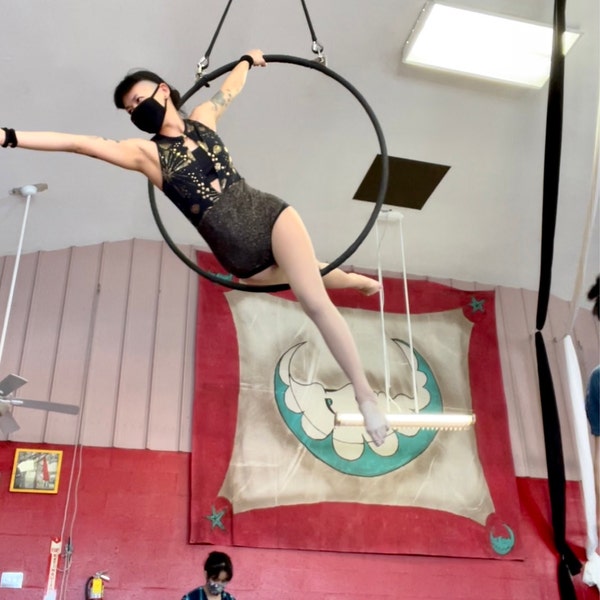 Gold and Black Celestial Bodysuit, Aerial Costume, Made to Order - Etsy