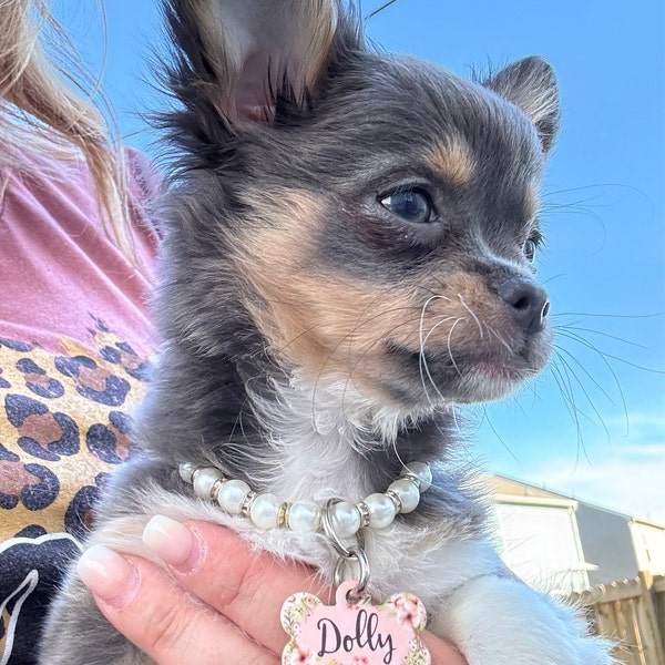 Pink Flowers Dog Tag, Dog ID Tag, Dog Tag, Floral Pet Tag, Girl Dog Tag ...