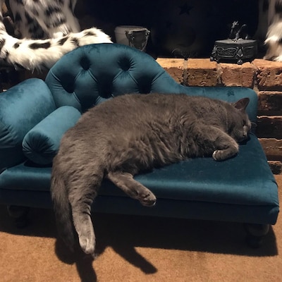 Baroque Cat Sofa, Chaise Lounge Pet, Dog Sofa Vintage Style, Cat Bed ...