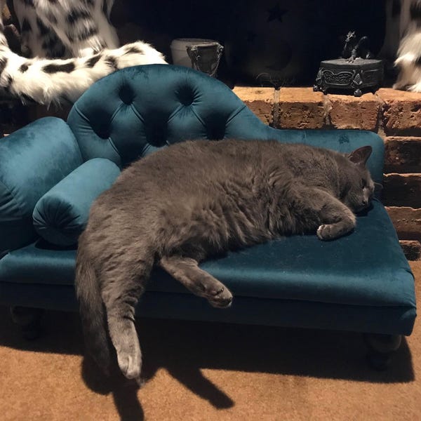 Cat Sofa, Dog Sofa, Lounge Chaise Dog, Cat Bed, Dog Bed, Dog Couch ...