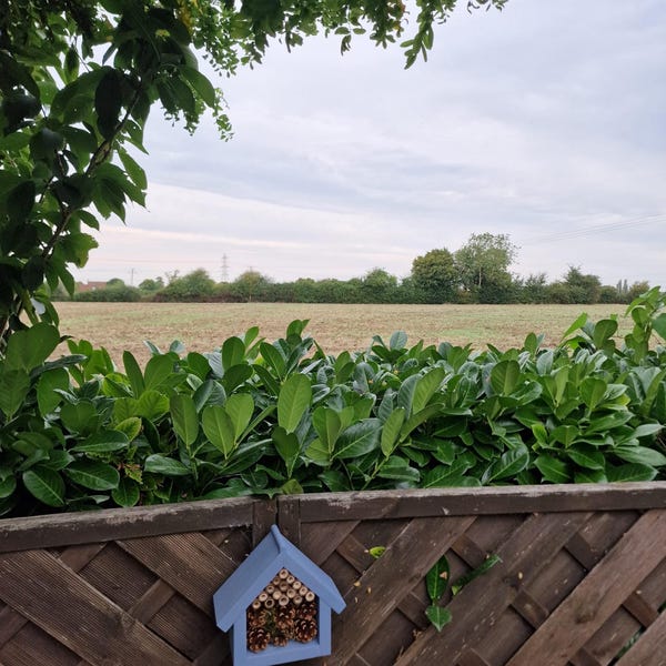 Solitary Bee Hive With Hinged Roof, Perspex Viewing Window and ...