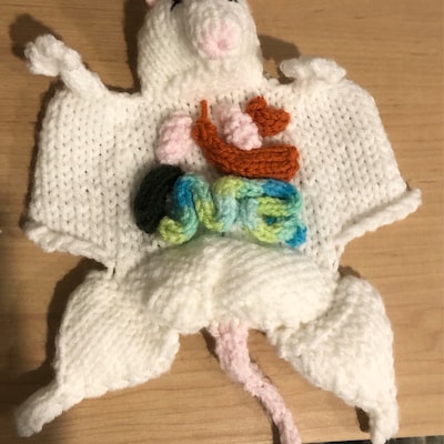 Knitted Organs for Vegan Biology Projects PDF Pattern - Etsy UK