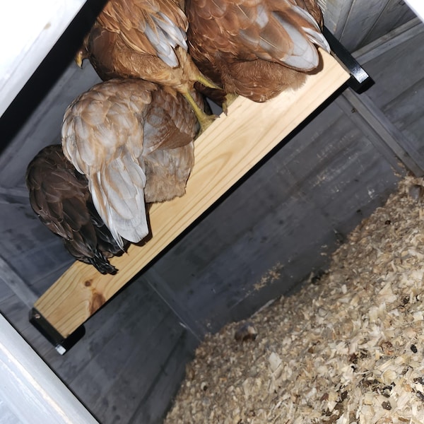 Chicken Roost Bar Bracket, 2x4 Vertical - Etsy