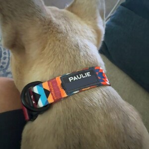 Treeline Dog Collar Trees Forest Nature Outdoors - Etsy