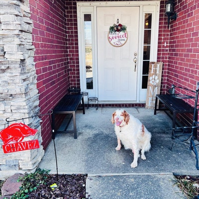 Arkansas Razorbacks Front Door Decor Razorbacks Sign UARK Wreath Hogs ...
