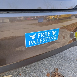 Environmental Bumper Sticker Everything is Connected Bumper Sticker ...