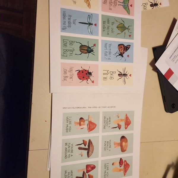 Educational Bug Poster for Home Classroom & Nursery - Insect Wall Art ...