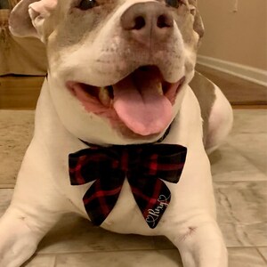 Personalized Matching Set Family Matching Set Matching Dog | Etsy