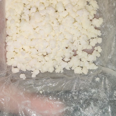 Kefir Fermenter: Container With Kefir Grains 20 G - Etsy