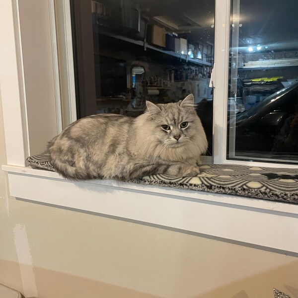 Window Sill Cat Pad/ 7” Sill Pad - Etsy