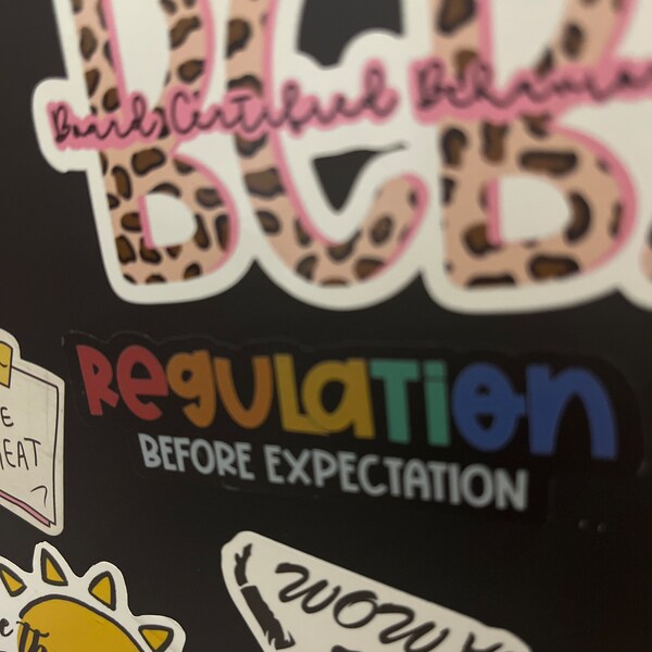 Regulation Before Expectation CLEAR Sticker 1"x3"autism Disability ...