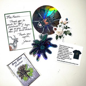 Velvet Spider Sticker 3.5 Inch Glossy Sticker Ladybird | Etsy