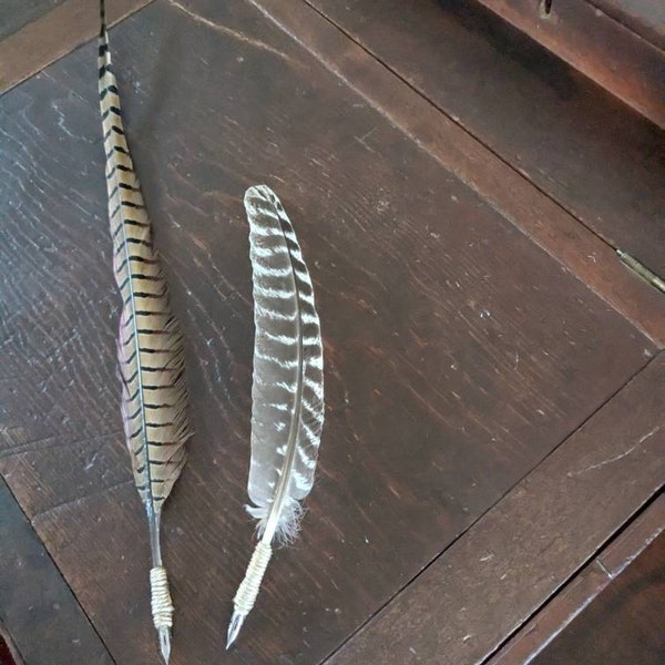 Wild Feather Quill - Etsy
