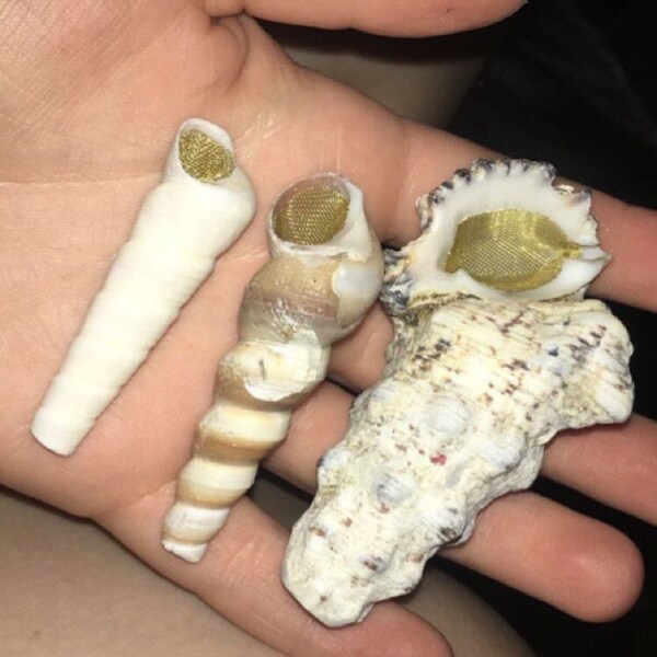 The Rockfish by Shellpipe free Pipes With Every Order Shell Pipe ...